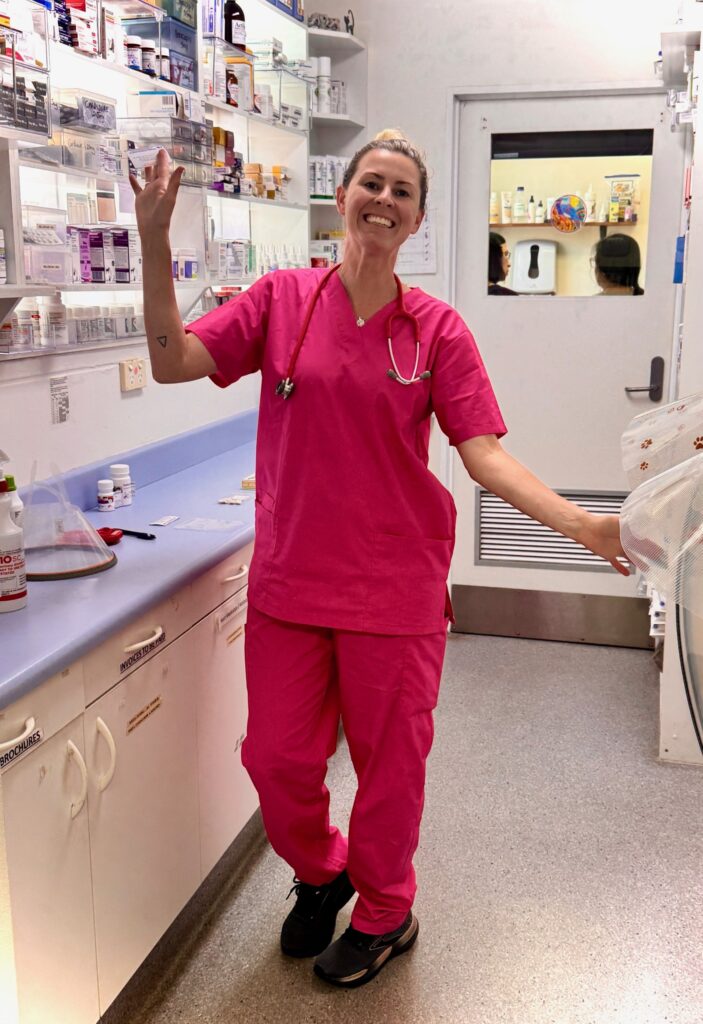 Jessica Chamberlin - Kirrawee Veterinary Hospital